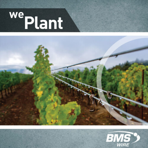 About Us – BMS Wire