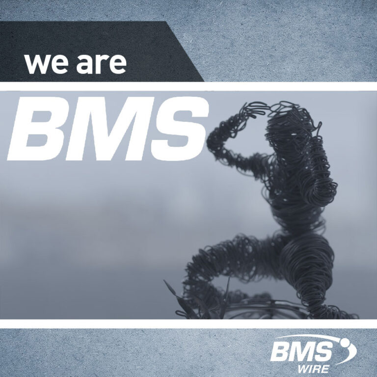 About Us – BMS Wire